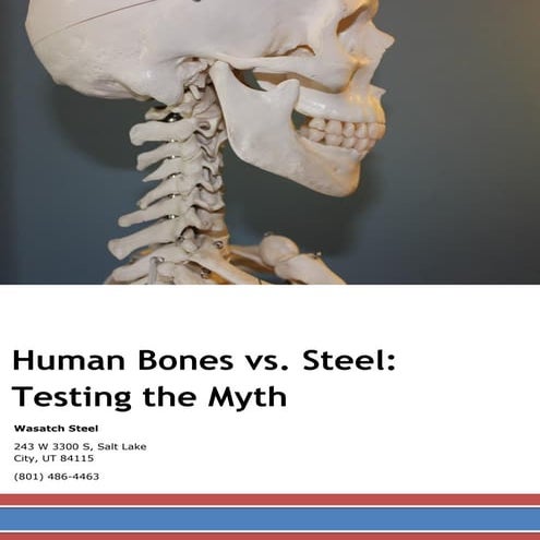 Human Bones vs. Steel: Testing the Myth | PDF