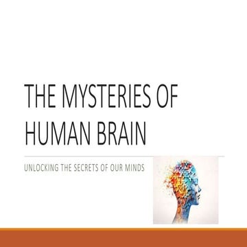 HUMAN BRAIN.pptx.PRIYA BHOJWANI@GAMIL.COM