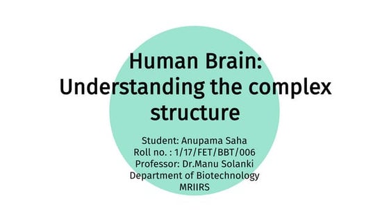 1) What does the nonbranching proposal say about split-brain patient.pdf