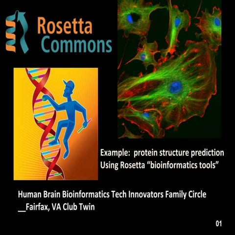 Human brain bioinformatics tifc fairfax va | PPT