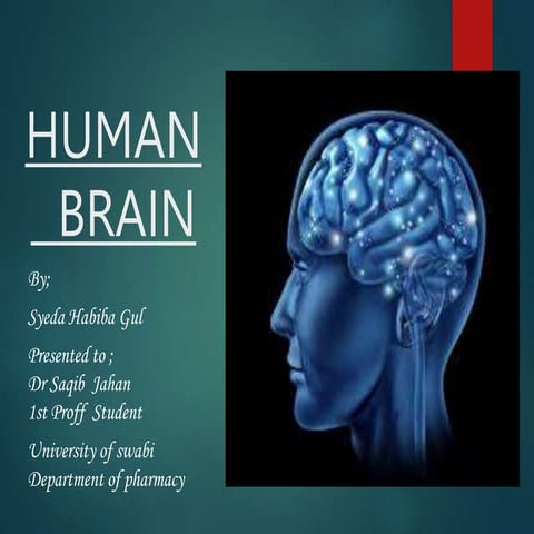 Diencephalon | PPT