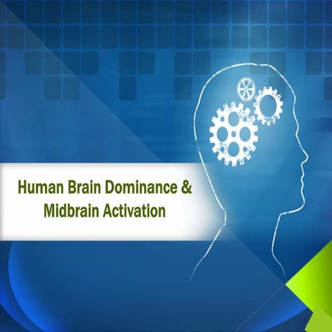 Human brain dominance and mid brain activation | PPTX | Brain and ...