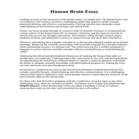 Human Brain Essay.pdf