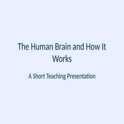 HOW THE BRAIN WORKS? | PPT