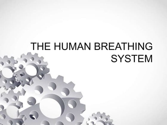 Respiratory system | PPT