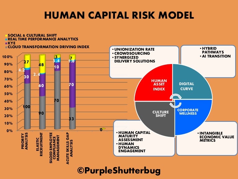 HUMAN CAPITAL RISK MODEL