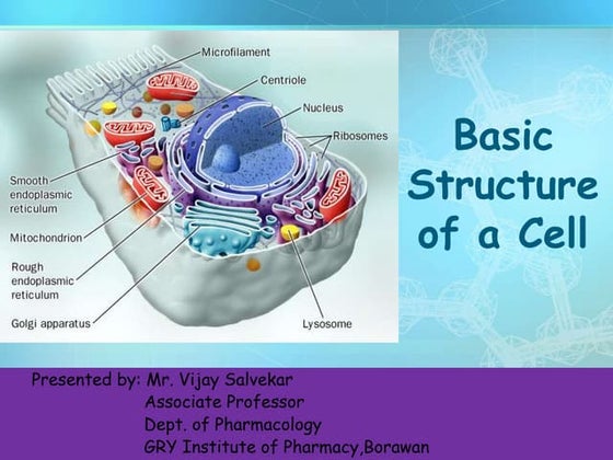 Structure of a human cell | PPTX