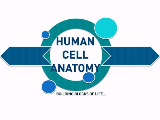 Structure of a human cell | PPTX