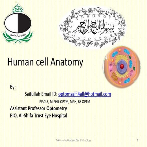 Human cell anatomy | PPTX