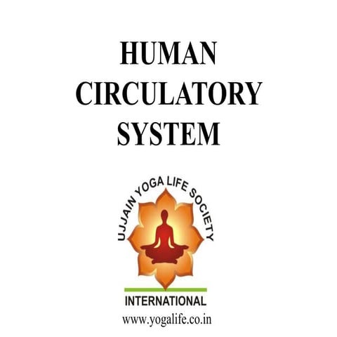 Human circulatory system | PPT