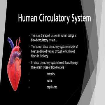 Human Circulatory System Includes heart.pptx