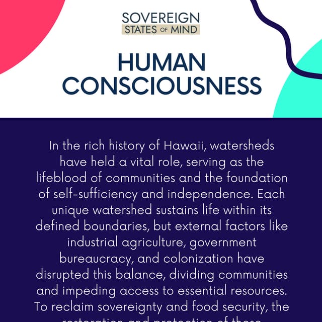 Human Consciousness - sovereignstatesofmind.com