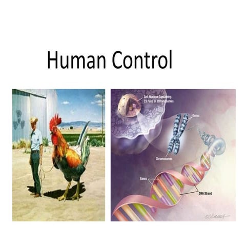Human control | PPTX