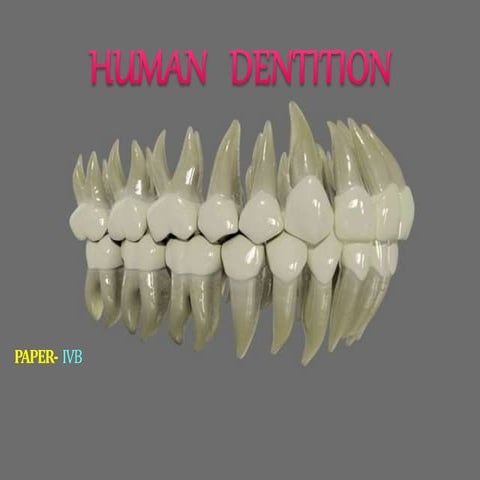 Dentition in Mammals | PPTX