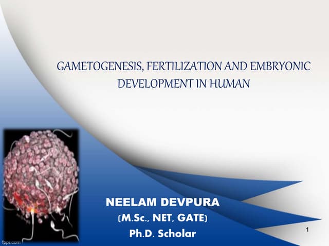 Fertilization Ppt