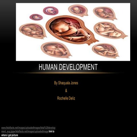 Human development | PPTX