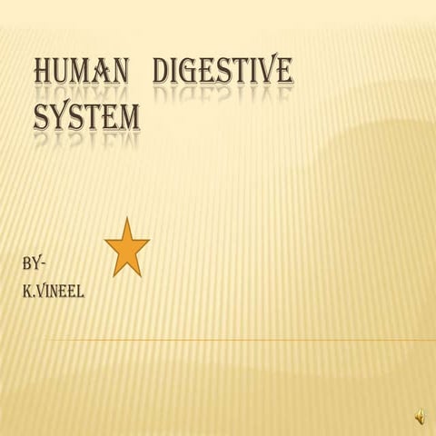 Human digestive system | PPTX