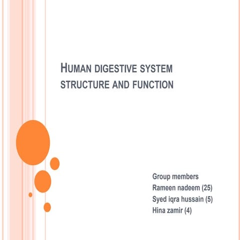 Human digestive system | PPTX