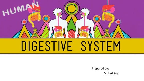 Human digestive system | PPT