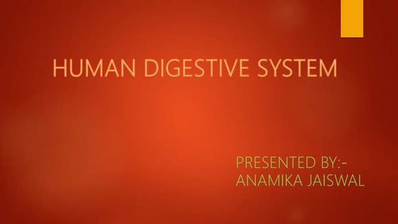 Digestive system cynthia | PPT