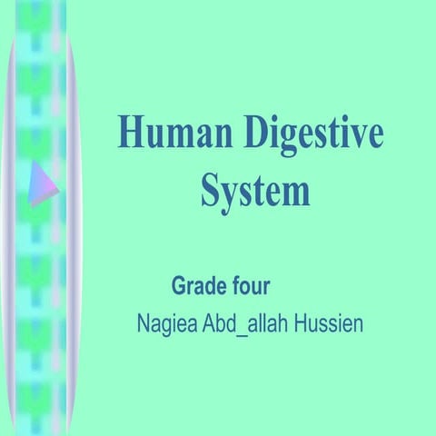 Human Digestive System structure and function.ppt
