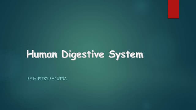 Science Grade 8- The Digestive System.pptx