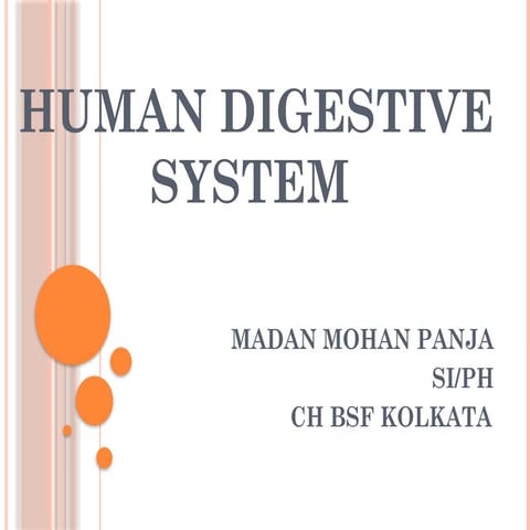 Human digestive system | PPTX