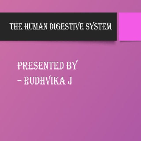 Human_Digestive_System_Grade4_Enhanced.pptx