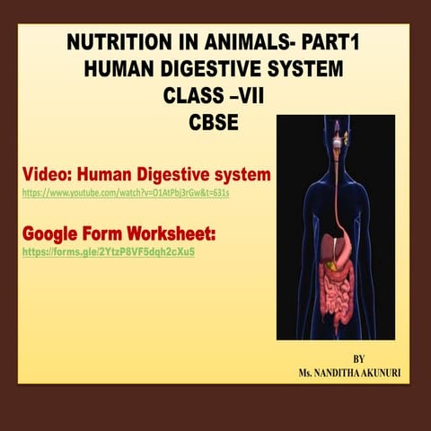 HUMAN DIGESTIVE SYSTEM | PPTX