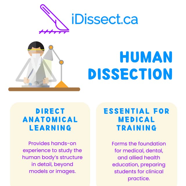 Dissection Of a Cadaver - www.idissect.ca