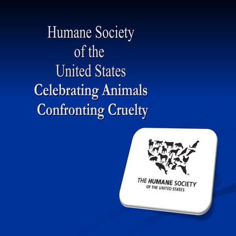 Humane Society Powerpoint | PPT