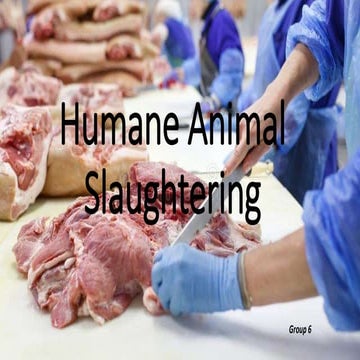 Humane Animal Slaughtering.pptx