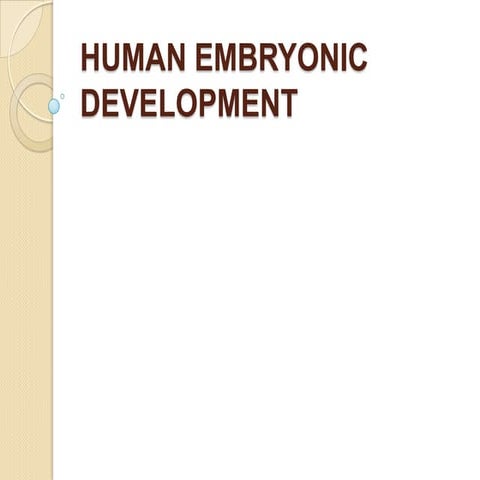 Human embryonic development | PPSX