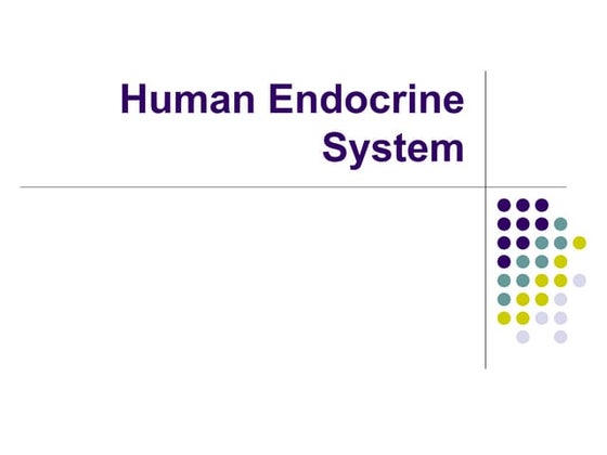 Endocrine System Anatomy | PPTX