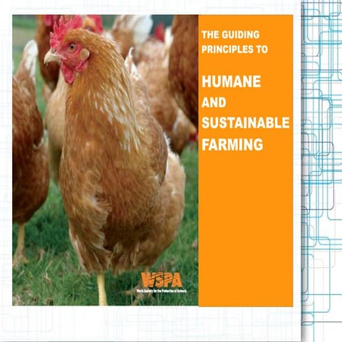 Humane and Sustainable Farming | PPT