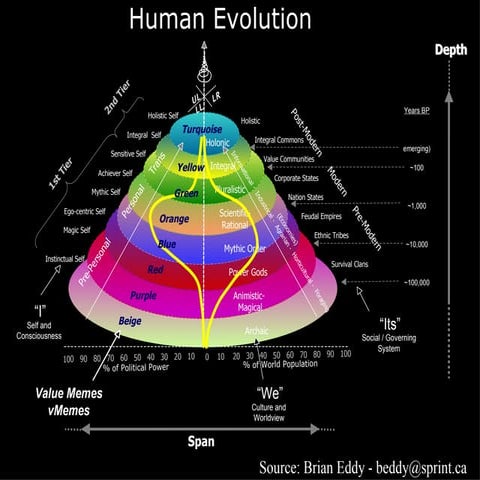 Human Evolution | PPT