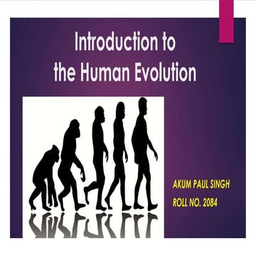 Research project - human evolution