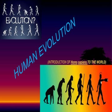 Human evolution (The Great Evolution In The World)...... | PPTX