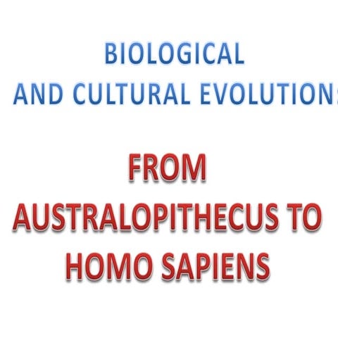 HUMAN EVOLUTION.pptx