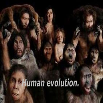 Human Evolution.pptx