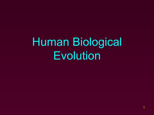Evolution of man by Sana Bi Ansari M.Sc. I year.pptx