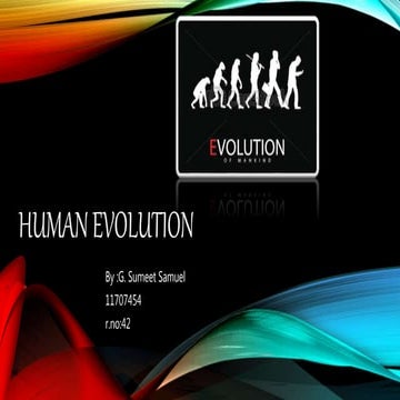 Human Evolution | PPTX