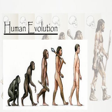 Evolution of Human beings described.ppt