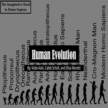 Human Evolution Powerpoint for Science Classes | PPTX