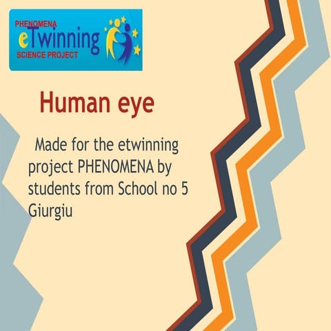 Human eye | PPT