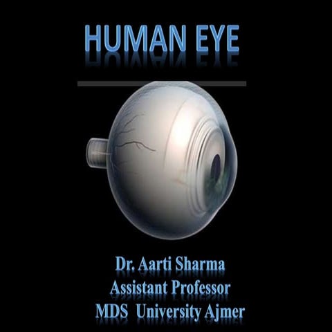 Human eye | PPT