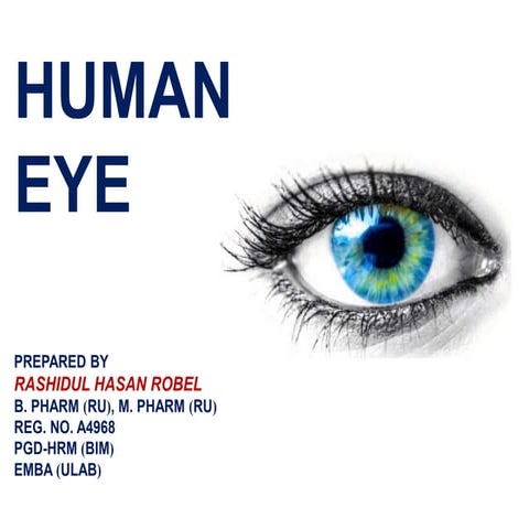 Human Eye | PPTX | Eye and Vision Conditions | Diseases and Conditions