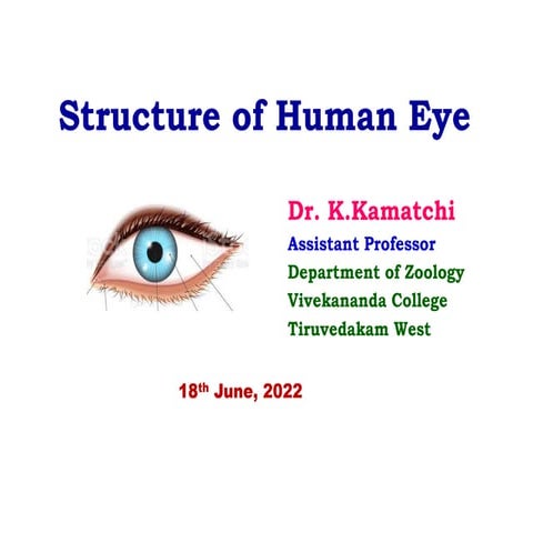 Human Eye.pptx
