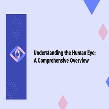 Understanding the Human Eye: A Comprehensive Overview | PPT