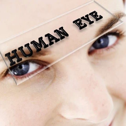 Human eye | PPT